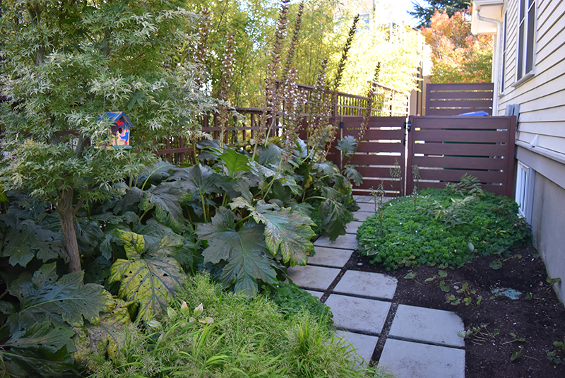 No Maintenance | Terrain - Landscape Architecture and Construction ...