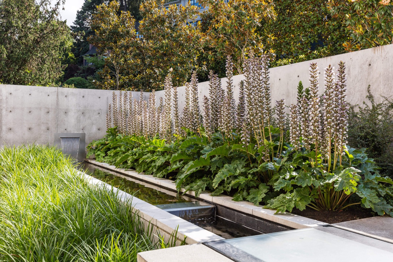 Madison Modern | Terrain - Landscape Architecture and Construction ...