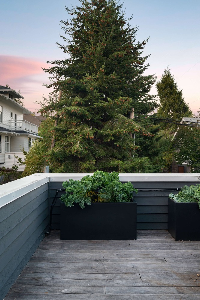 Kebony Deck | Terrain - Landscape Architecture and Construction, Seattle WA