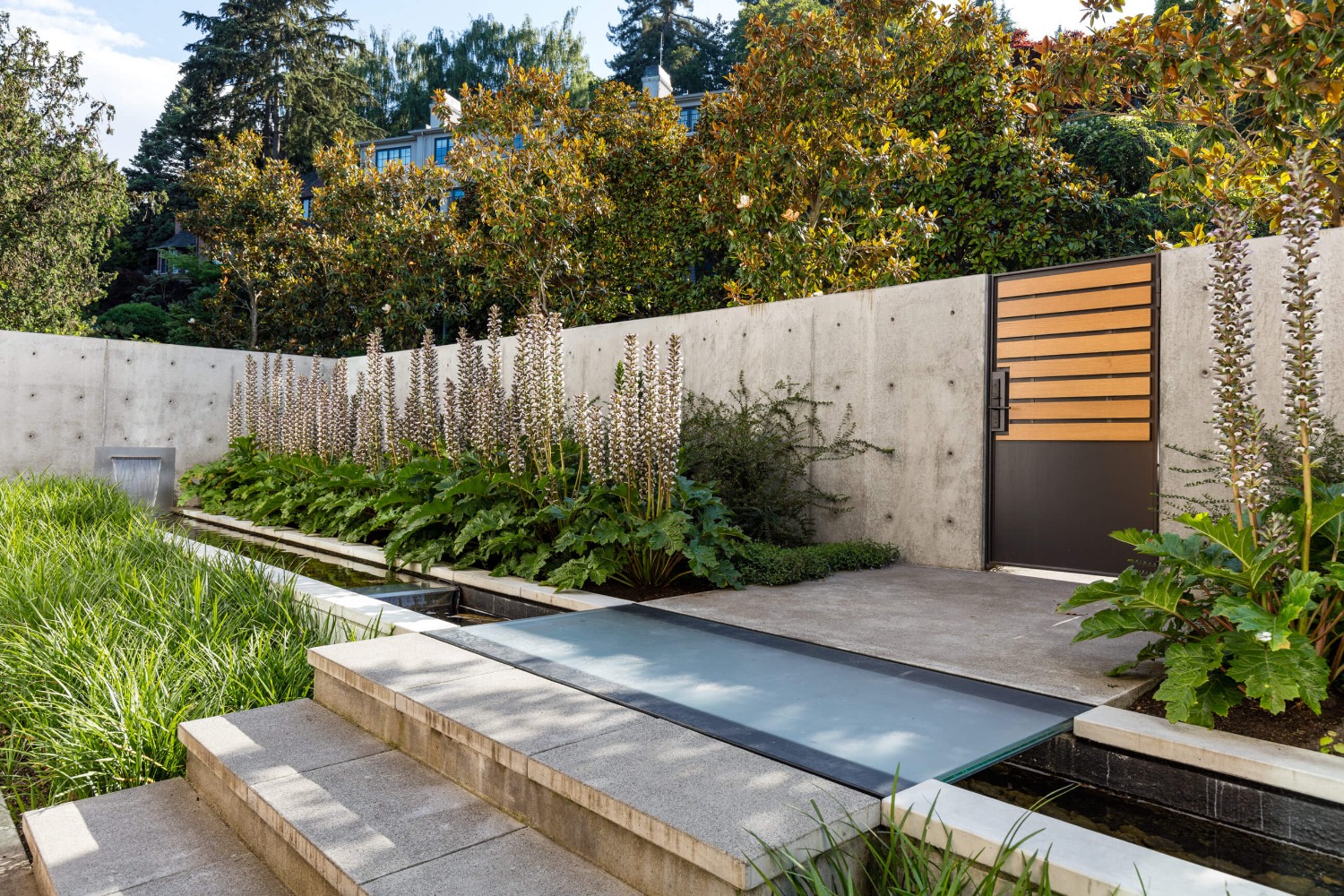 Madison Modern | Terrain - Landscape Architecture and Construction ...