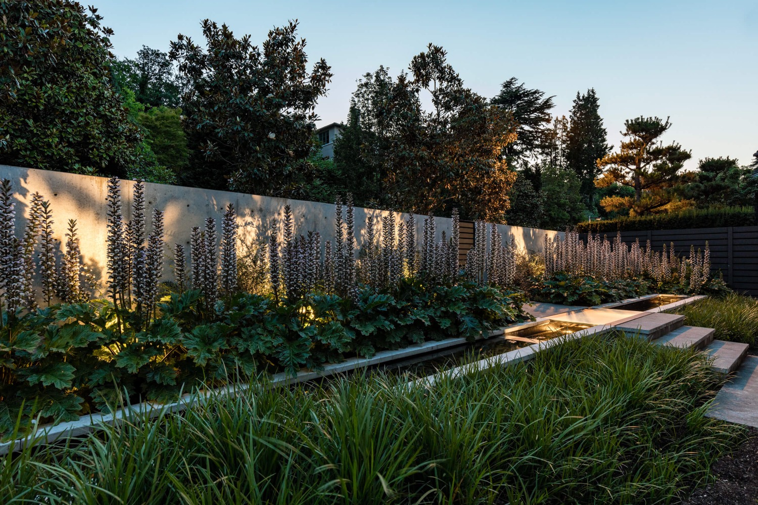 Madison Modern | Terrain - Landscape Architecture and Construction ...