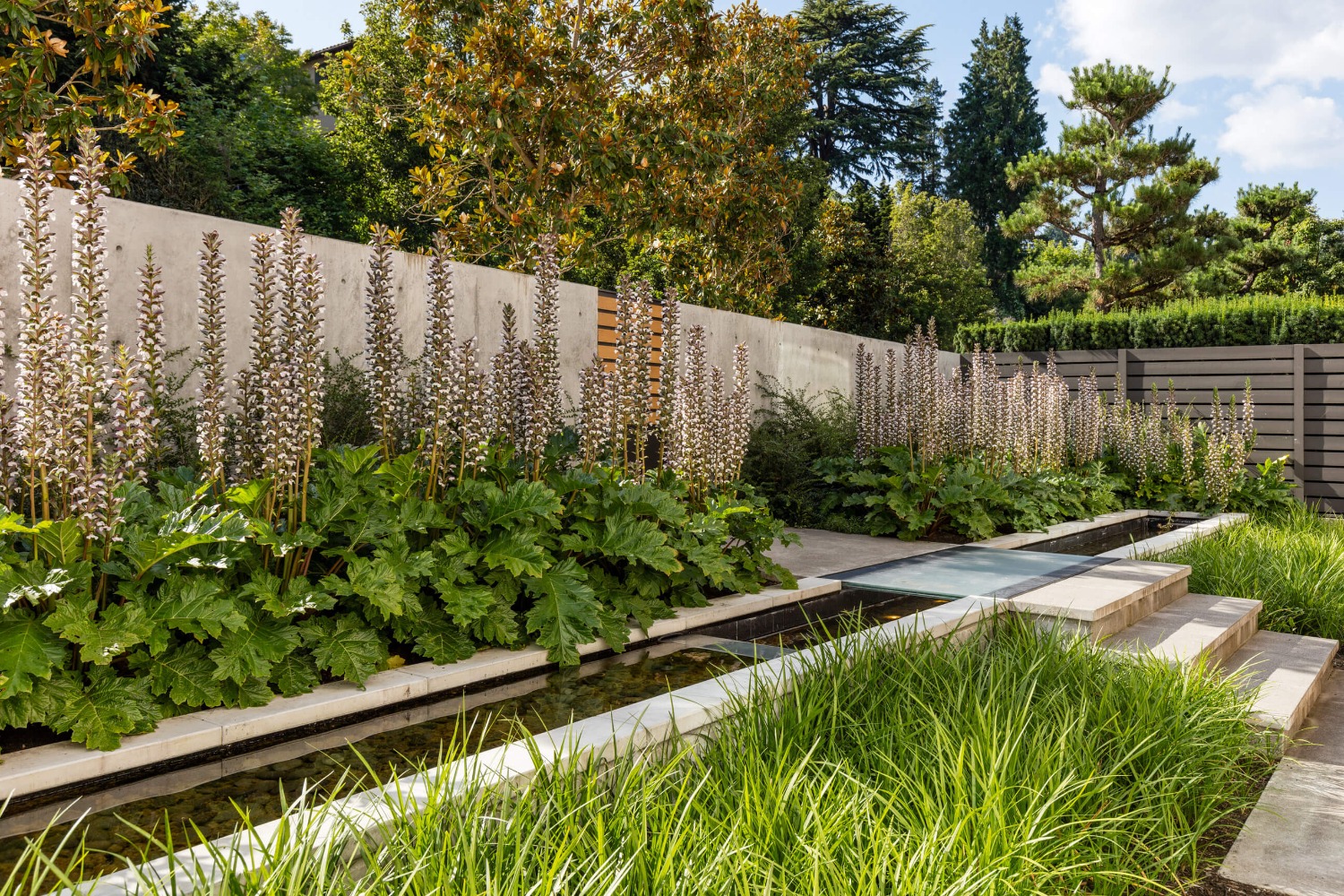 Madison Modern | Terrain - Landscape Architecture and Construction ...
