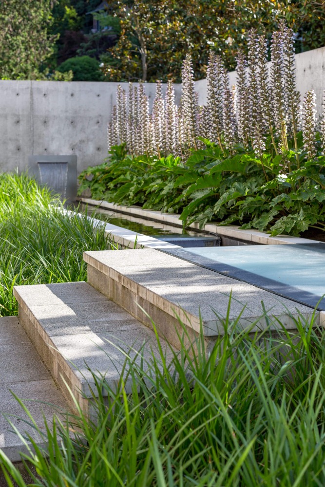 Madison Modern | Terrain - Landscape Architecture and Construction ...
