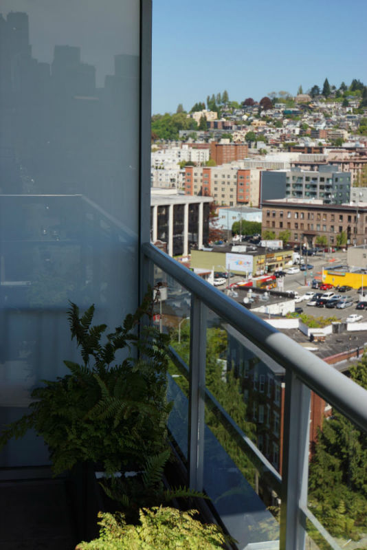 Penthouse City View Terrace | Terrain - Landscape Architecture and ...