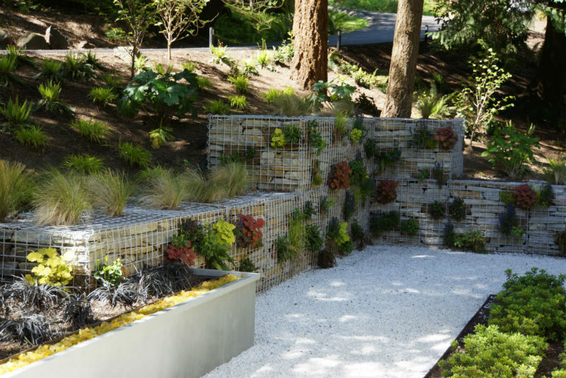Contemporary Wooded Garden | Terrain - Landscape Architecture and ...