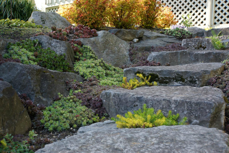Garden Paradise | Terrain - Landscape Architecture and Construction ...