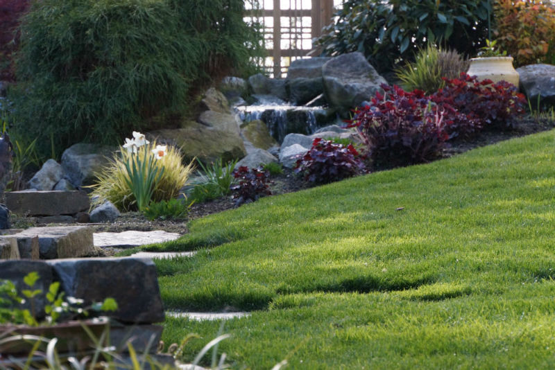 Garden Paradise | Terrain - Landscape Architecture and Construction ...