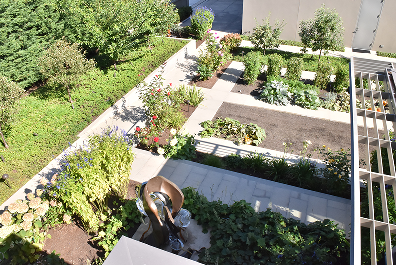 Urban Garden | Terrain - Landscape Architecture and Construction ...