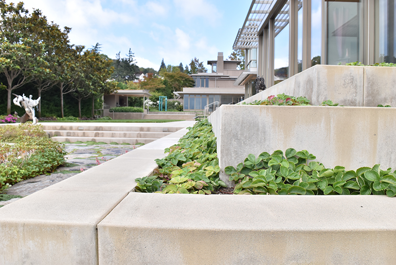 Waterfront Sophistication | Terrain - Landscape Architecture and ...